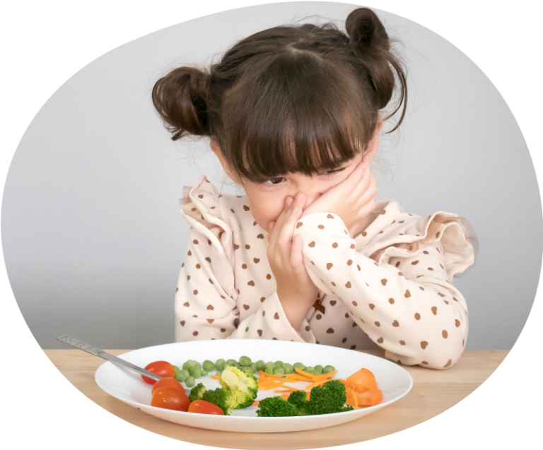 Training, Education & Workshops | The Feeding Corner