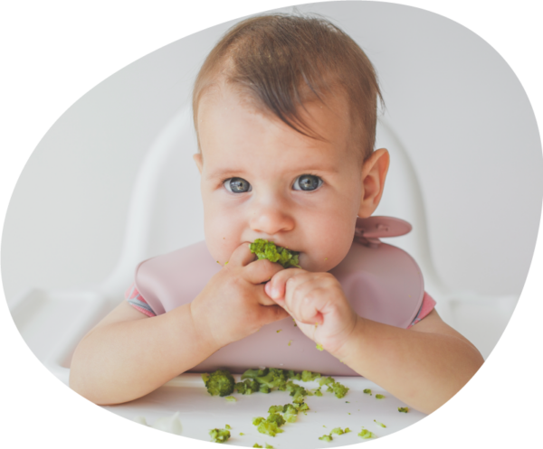 Feeding Assessments & Therapy | The Feeding Corner
